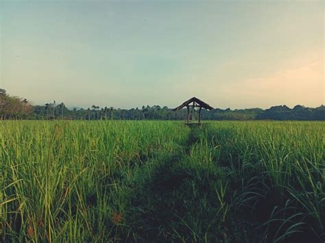 Premium Photo Bypassing Beauty