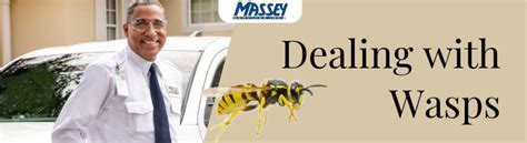 Dealing With Wasp Nests DIY Removal Techniques And Safety Tips Massey Services Inc