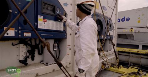 checking reefer containers