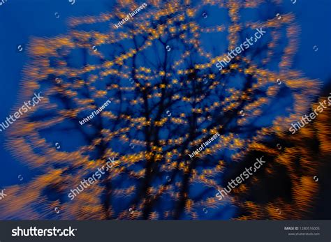 Background Blur Tree Orange Bokeh Lights Stock Photo 1280516005 Shutterstock