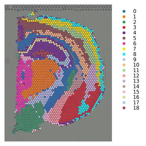 stsme clustering tutorial — stlearn 0 3 1 documentation