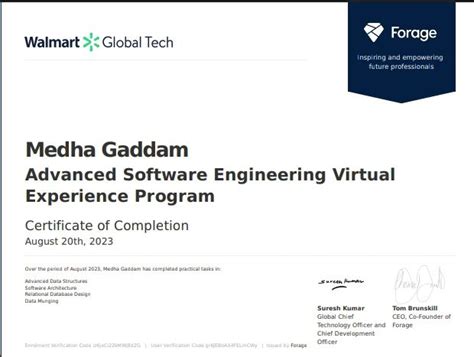 Internship Learning Experience Softwareengineering