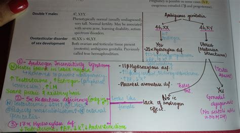 Sex Disorders With Ambiguous Genitalias Hope It Helps R Step1