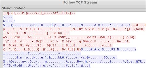 SSH y Wireshark examinando tráfico El Camino del Sysadmin