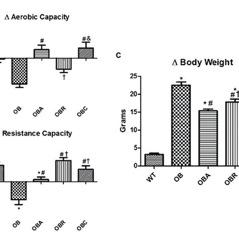 Schematic Figure Of Aerobic And Resistance Exercise Session Aerobic Download Scientific