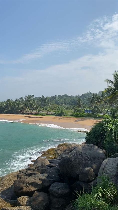 Красивые виды в Шри Ланке Океан и пальмы