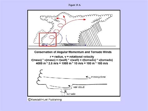 Chapter 19 Cover Figure 19 1