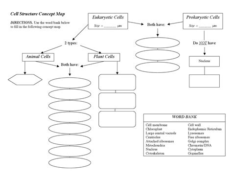 Cell Structure Concept Map