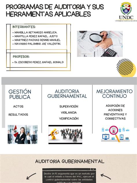 Programas De Auditoria Y Sus Herramientas Aplicables 1 Descargar Gratis Pdf Auditoría