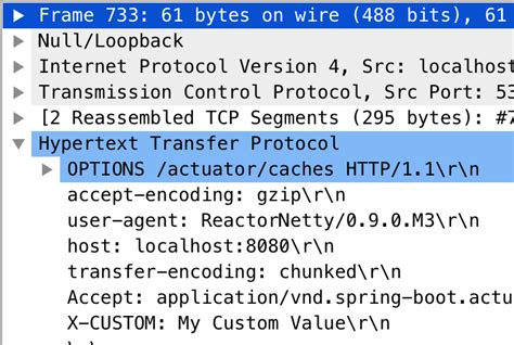 headers specified in headersprovider are not used for probe requests · issue 1254