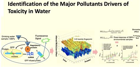 Toxicogenomics April Gu Group Gu Environmental Biotechnology Laboratory