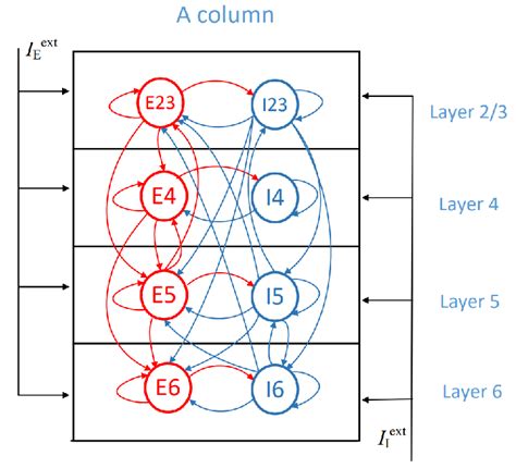 Intra Layer And Inter Layer Connections In A Single Column Download
