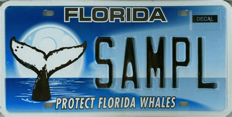 Florida License Plates That Are Unique To The State