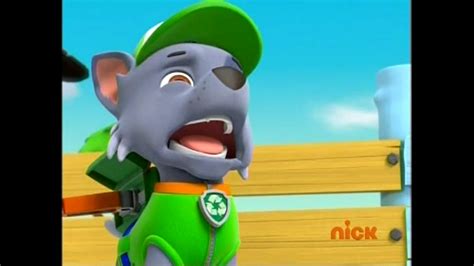 Rocky In Season 2 Paw Patrol Photo 40152727 Fanpop Page 49