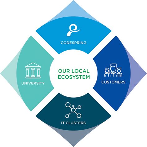 Codespring Ecosystem Codespring Software Development And