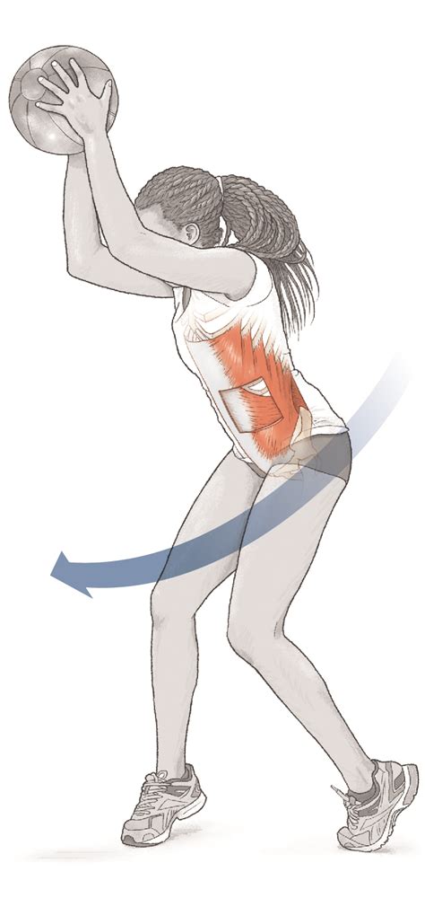 6 Medicine Ball Throws Fitpro Blog
