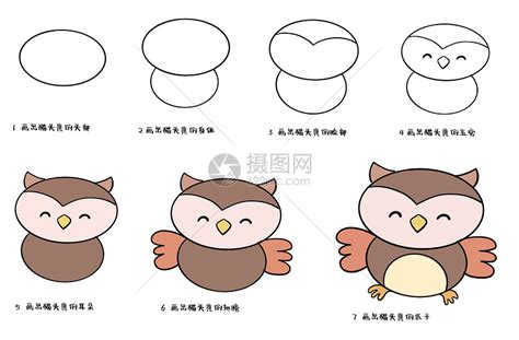 猫头鹰简笔画插画图片下载 正版图片401697422 摄图网