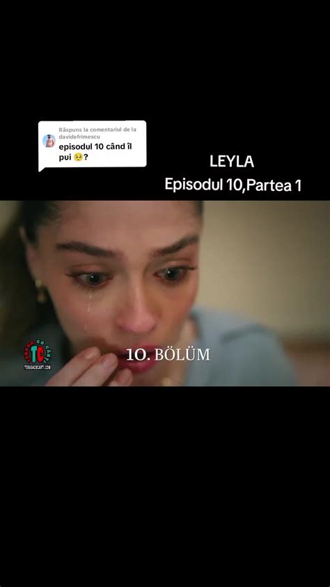 Star Sessions Leyla Set 05 Learn 21 Shimmies And 1001 Variations Belly