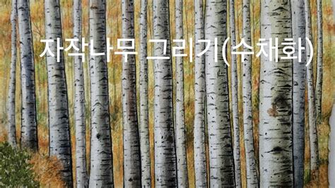 자작나무 그리기 수채화 Youtube