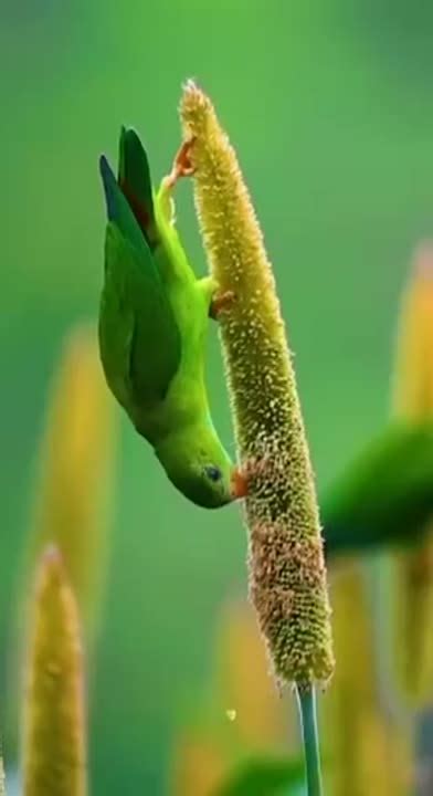 Suresh Maloth On Linkedin Workplace