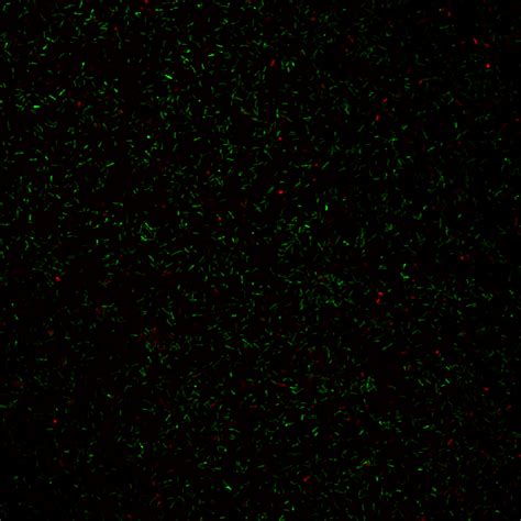 Opencv Python Split Laplacian Houghcircles Assertion Failed