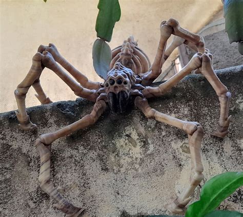 Free Stl File Tarantula Flexi Print In Place Skeleton Spider Halloween 💀・3d Printer Design To