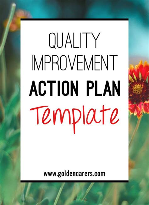 Quality Improvement Action Plan Template In 2025 Action Plan Template