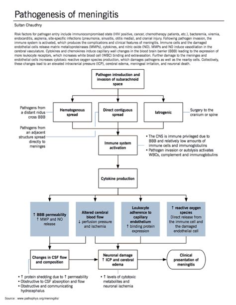 Headache Algorithm Manual Of Medicine
