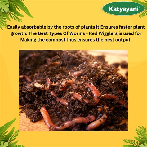 Enriched Vermicompost Katyayani Organics