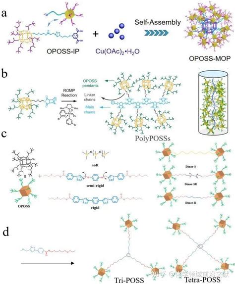 华南理工大学殷盼超教授课题组：亚纳米分子簇间拓扑相互作用及非平衡响应机理 知乎