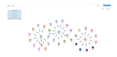 D3js Examples For Advanced Uses — Custom Visualization By Jamie Liu Nebula Graph Medium