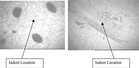 Indentation Site For The Cortical Left And Trabecular Right Bone Download Scientific Diagram