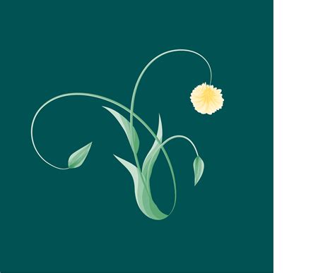 Download Daffodil Flower Floral Background Royalty Free Vector Graphic Pixabay