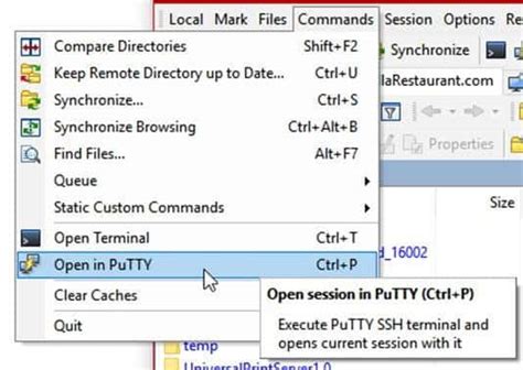 Putty Unable To Open Serial Port Windows 10 Theorypsado
