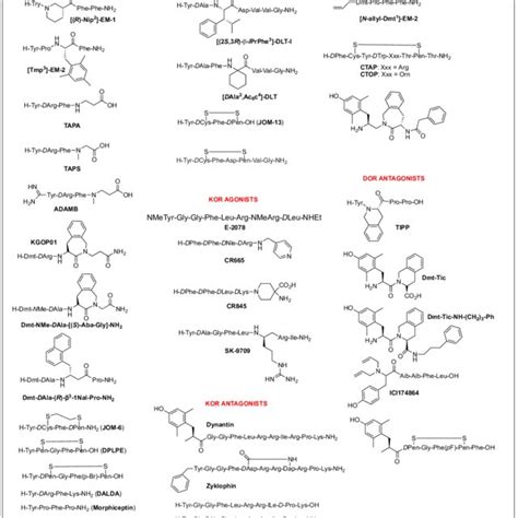 Structures Of Selective Opioid Peptidomimetic Download Scientific Diagram