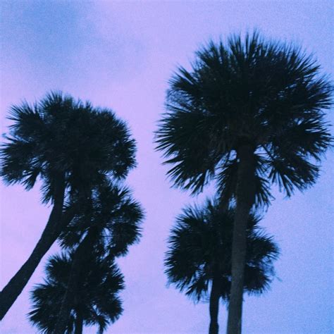 Image Tagged With Sway Away 🌴 Angie Leslie Blog On Tumblr