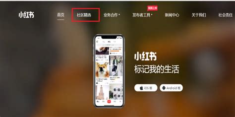 小红书网页版怎么使用 360新知