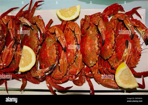 Plate Of Necora Puber Velvet Crab Ready To Eat Cold With Lemon Stock