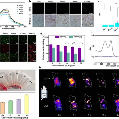 A Detection Of Ros Generation Of Rt Qds By The Probe Dpbf B