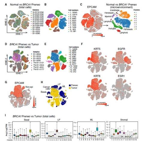 文献解读｜人类乳腺正常、癌前和致瘤状态的单细胞rna表达图谱 知乎