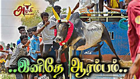 Jallikattu Whatsapp Status Tamilstatus Whatsappstatus Tamilwhatsappstatus Jallikattu Tamil