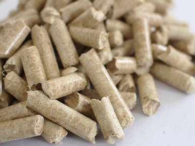 Pine Wood Pellets Production And Application