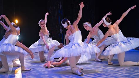 Swan Lake Ballet San Francisco Ca World Ballet Company