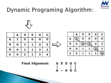 Basics Of Bioinformatics Pdf