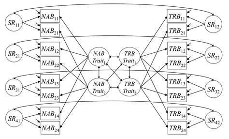 Path Diagram Of The Multiconstruct Lst Model Estimated For The Nabit