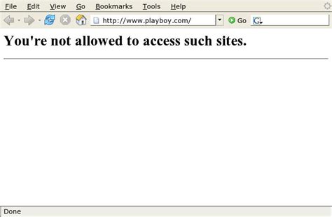 Web Site Blocking Techniques
