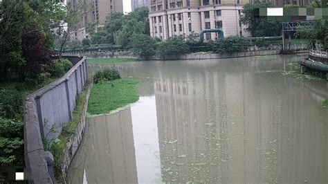 Bazaar Cv Canal Pollution Level · Hugging Face