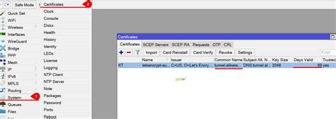 نحوه فعال سازی Lets Encrypt در میکروتیک