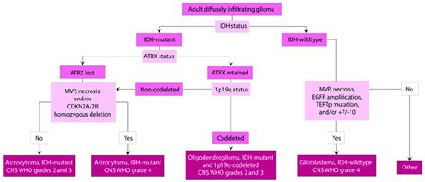 diagnostic algorithm of adult diffusely infiltrating gliomas with