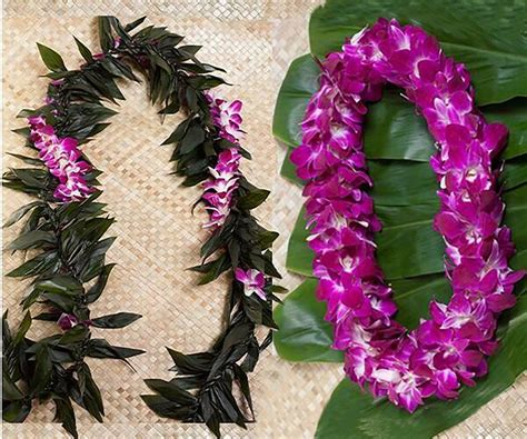 Graduation Lei Pack Maile Ti Leaf Lei With Orchid Lei Wrap And Double